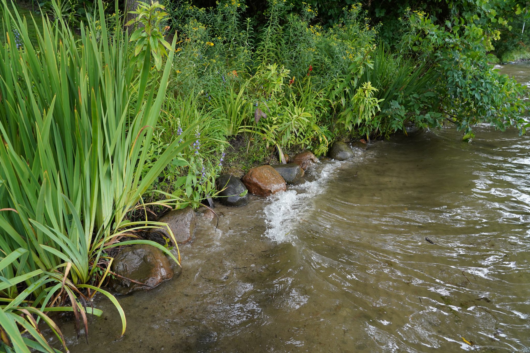 MGLP announces release of Shoreline Living booklet promoting natural ...